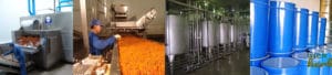 Organic Sea buckthorn Pulp Oil Wholesale - LuckHerb